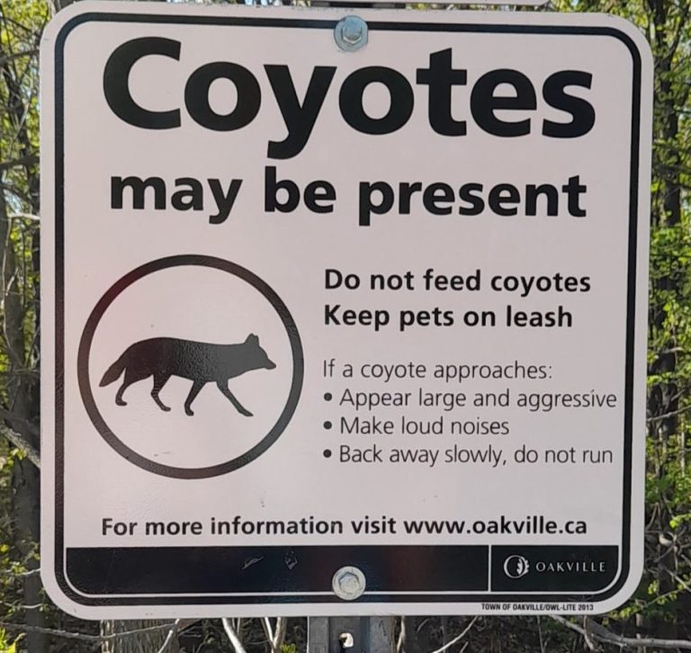 20 Canadian Culture Shocks for Newcomers